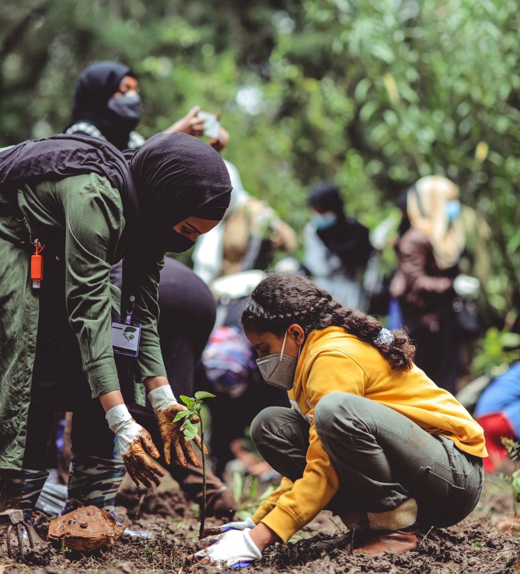 Inspiring examples - Climate Action Accelerator